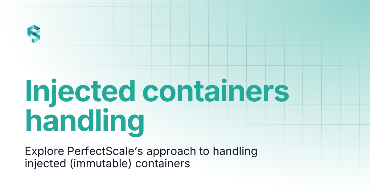 Injected containers handling | PerfectScale